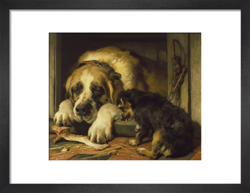 Doubtful Crumbs prints – The Wallace Collection Shop